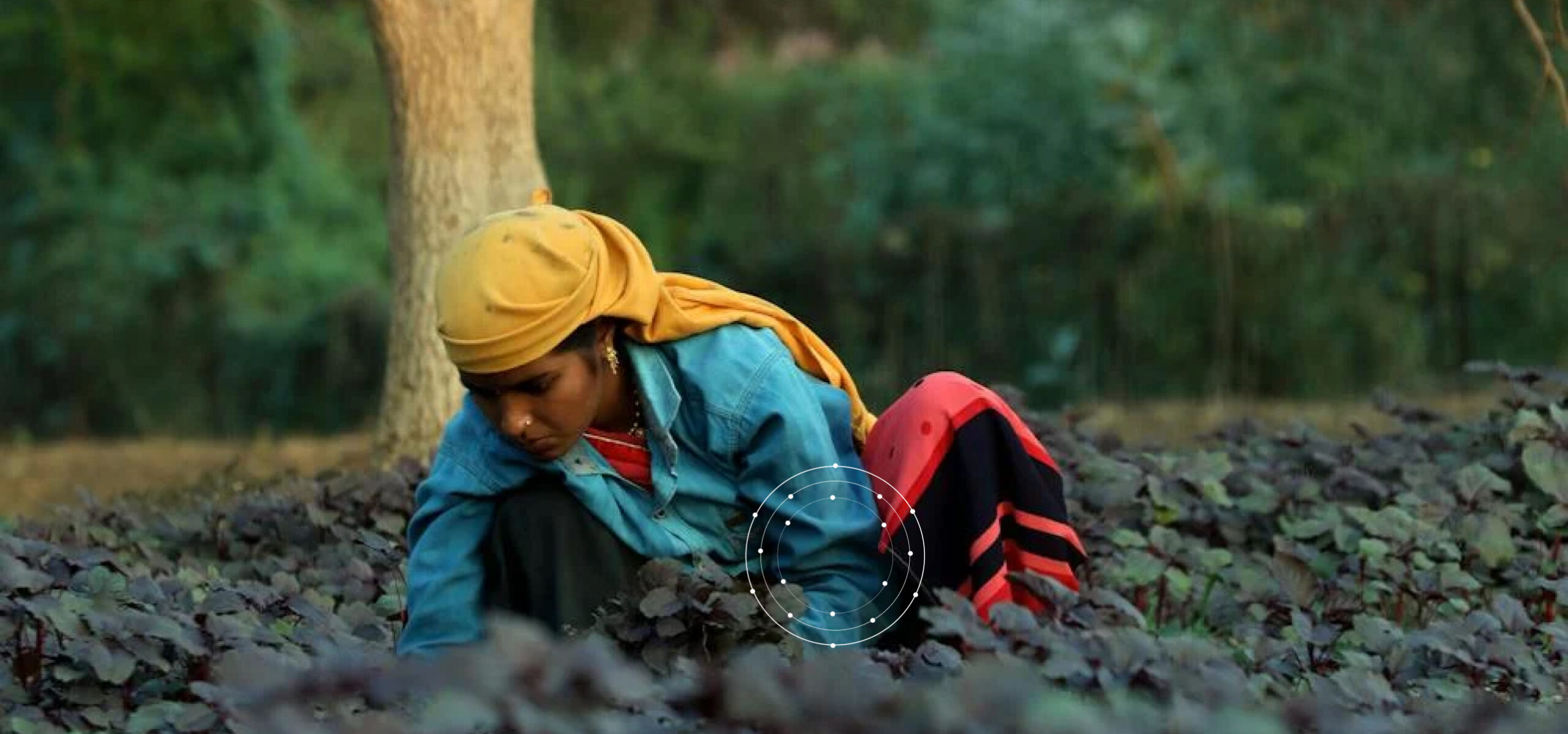 Resources - String.Ag